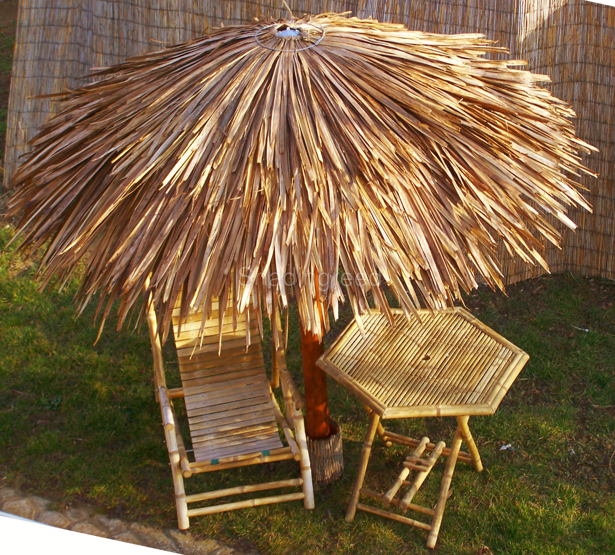 Gallery - Palm parasol - exotic parasols and pavillons